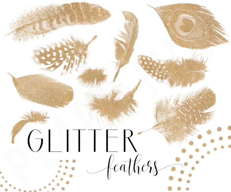10 Glitter Feather Clip Arts | Digital Feathers | Graphic Design | Clip ...