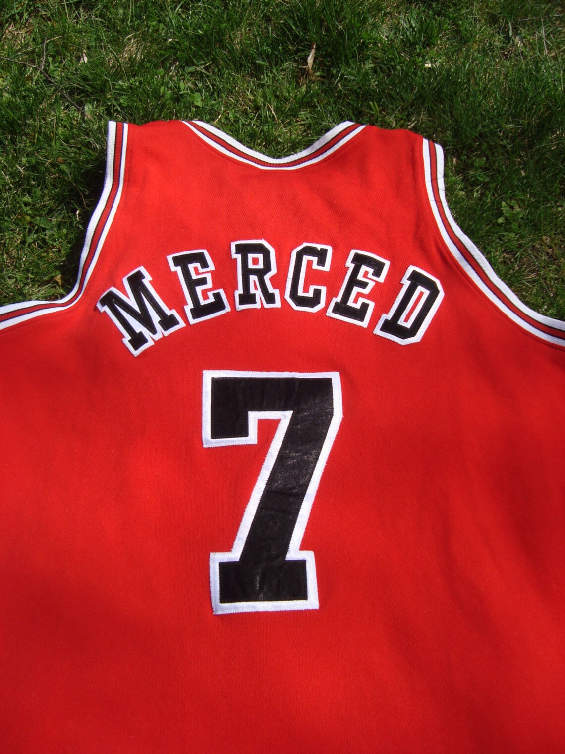 Champion NBA Jersey Chicago Bulls Number 7 Merced Bulls Tank - Etsy