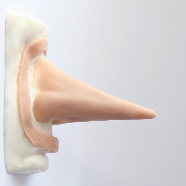 Silicone Witch Nose Prosthetic - Etsy
