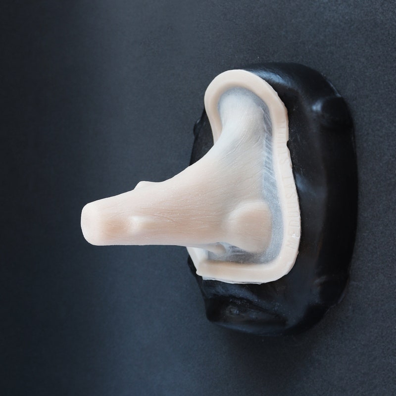 Prosthetic Pig Nose - Etsy
