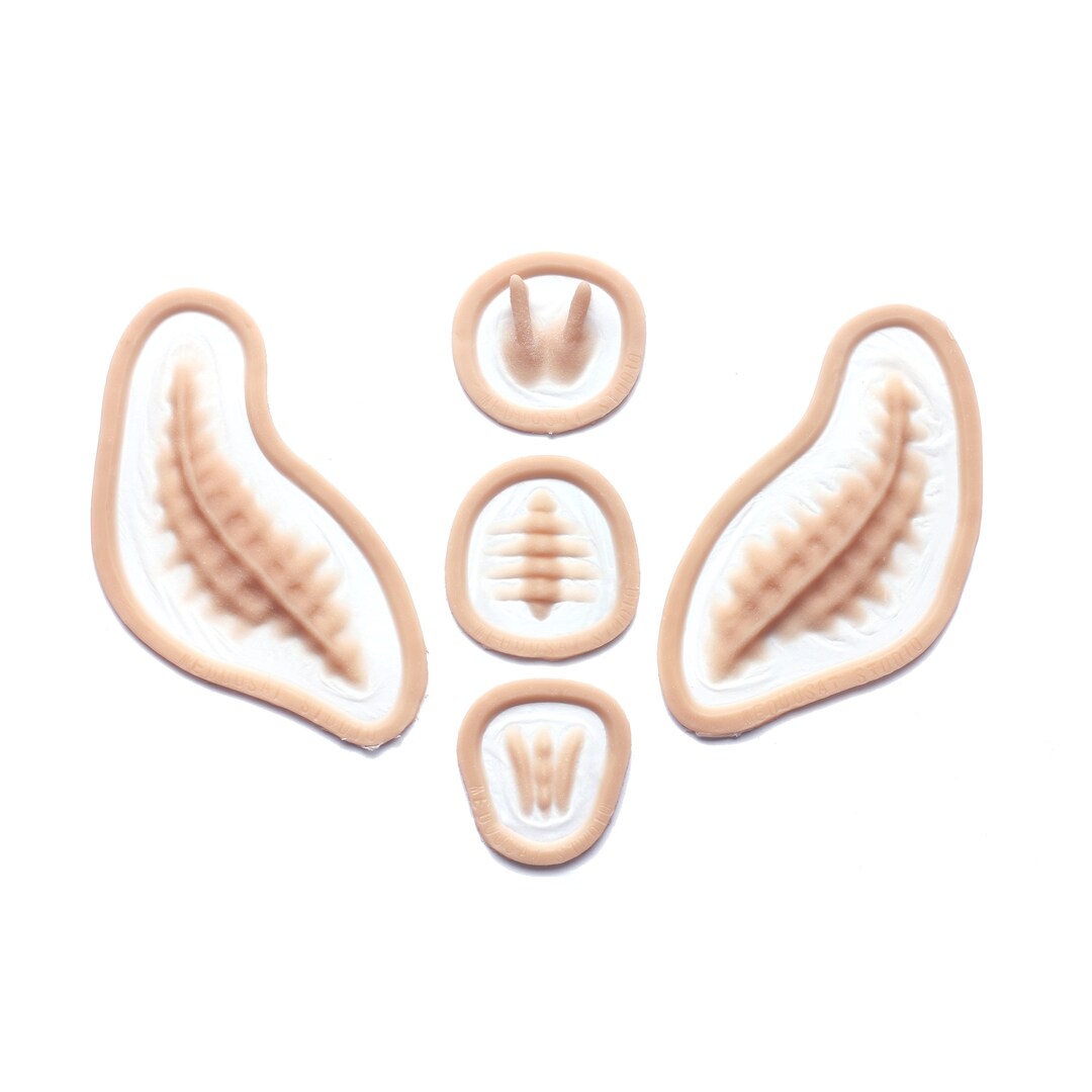 Seahorse / Facial Scales / Silicone Prosthetics / Latex Free / - Etsy