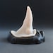 House Elf Nose / Silicone Prosthetic / Latex Free / Halloween ...