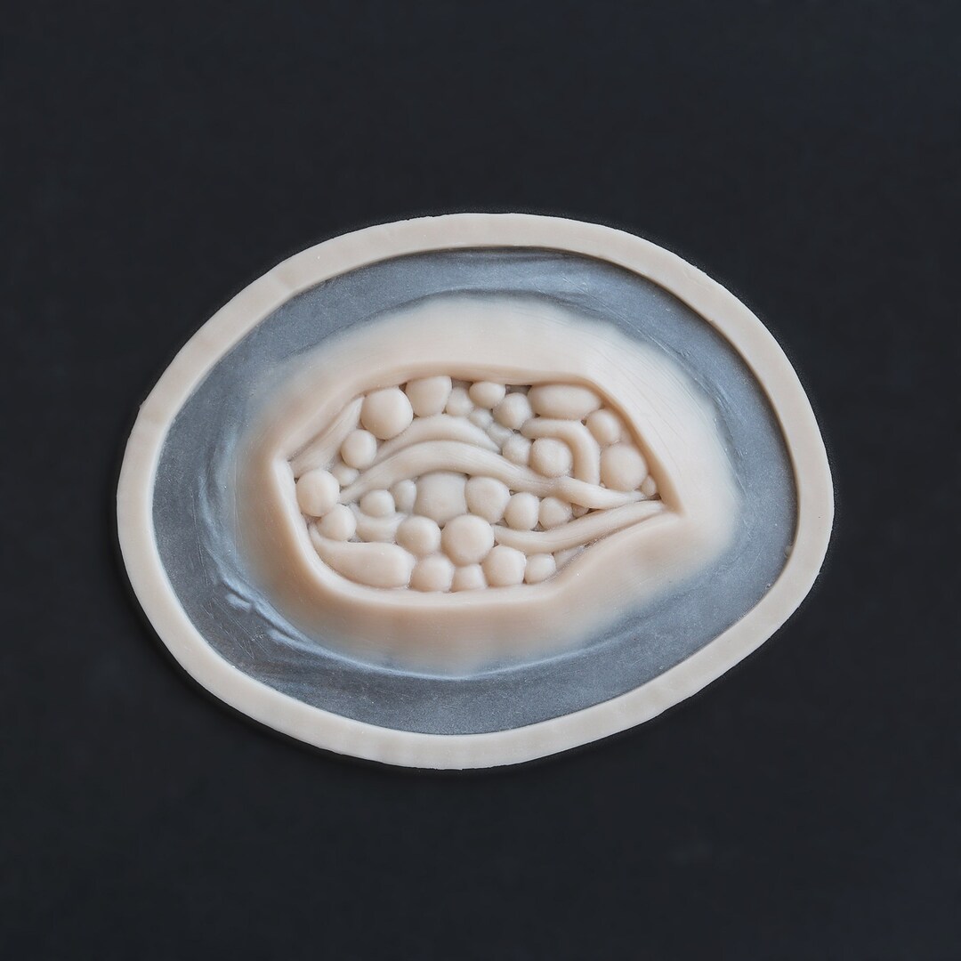 Large Wound / Silicone Prosthetic / Latex Free / Halloween Prosthetics ...