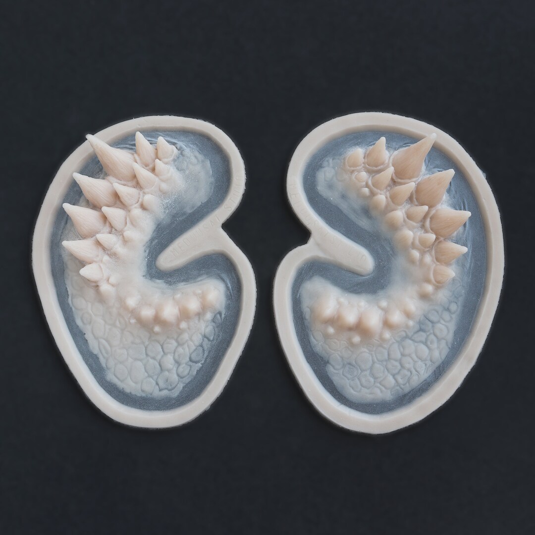 Dragon Face Scales / Silicone Prosthetics / Latex Free / SFX Makeup ...