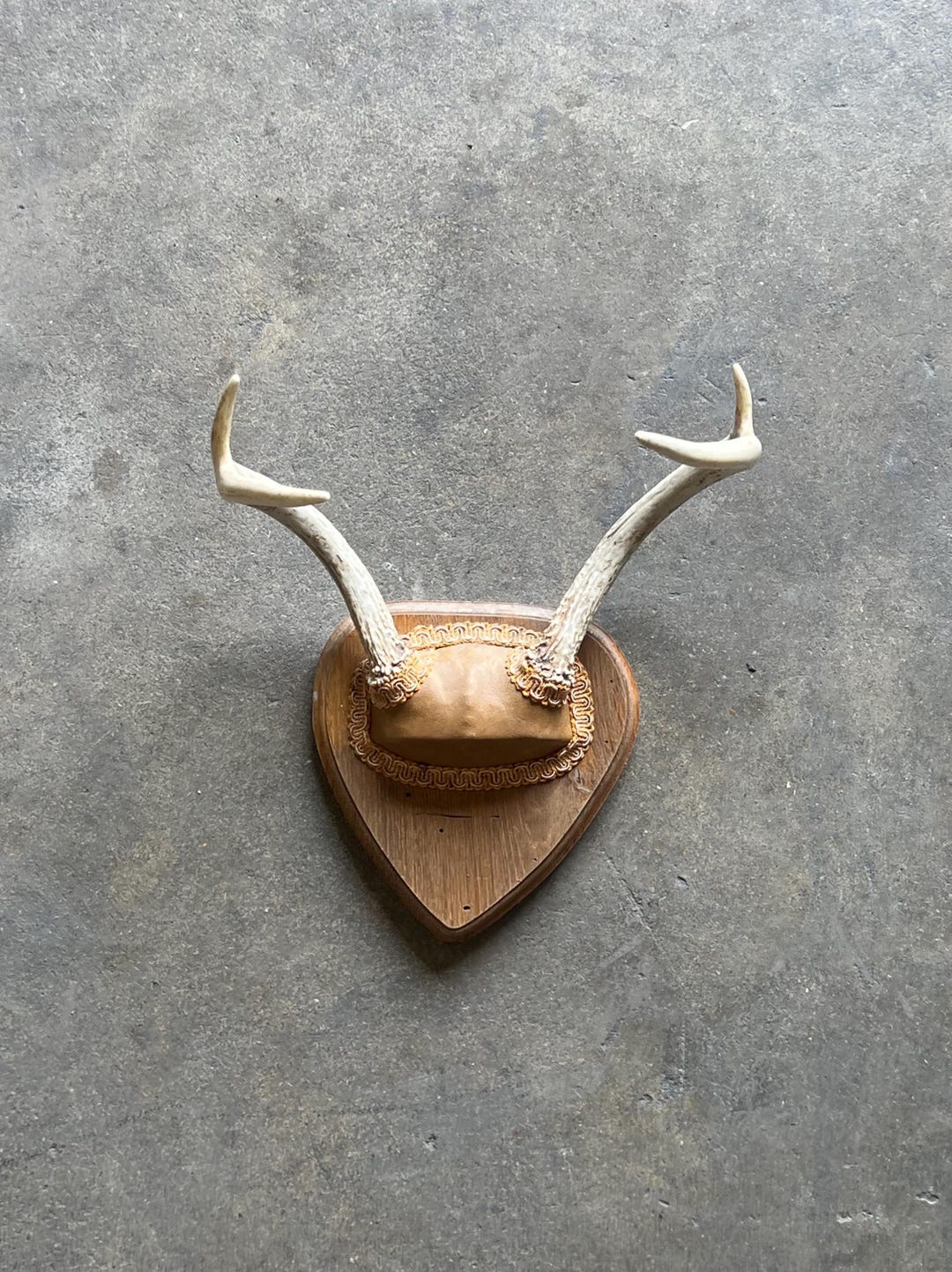 Vintage 4-point Deer Antler Wall Mount - Etsy