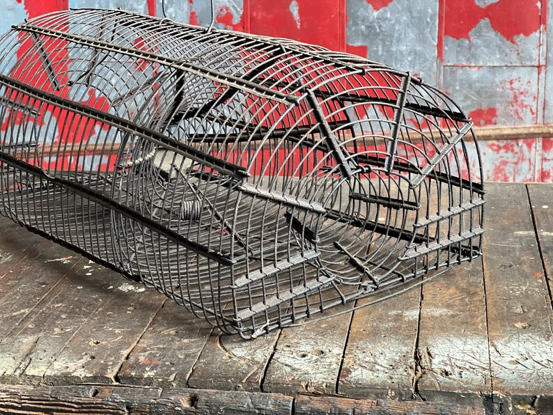 Antique Mouse & Rat Wire Trap Cage - Etsy