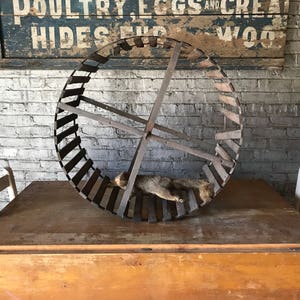 Antique Country Farm Squirrel Cage Running Wheel American Folk Decor - Etsy