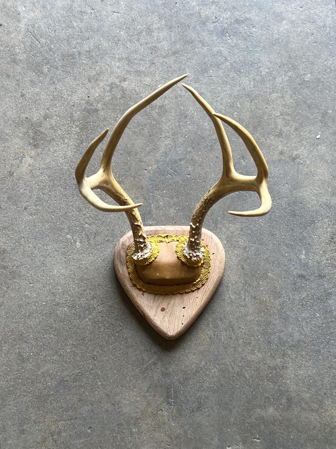 Vintage 6-point Deer Antler Wall Mount - Etsy