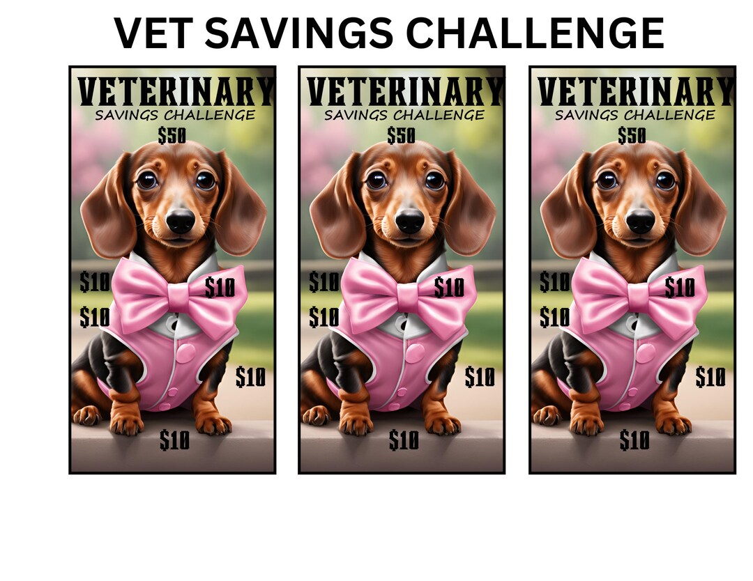 Veterinary Savings Challenge for A6 Binders - Etsy