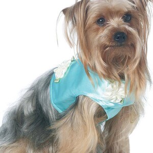 Sewing Pattern for Dog Clothes,dog Vest,dog Coats,dog Pjs, Dog Leg ...