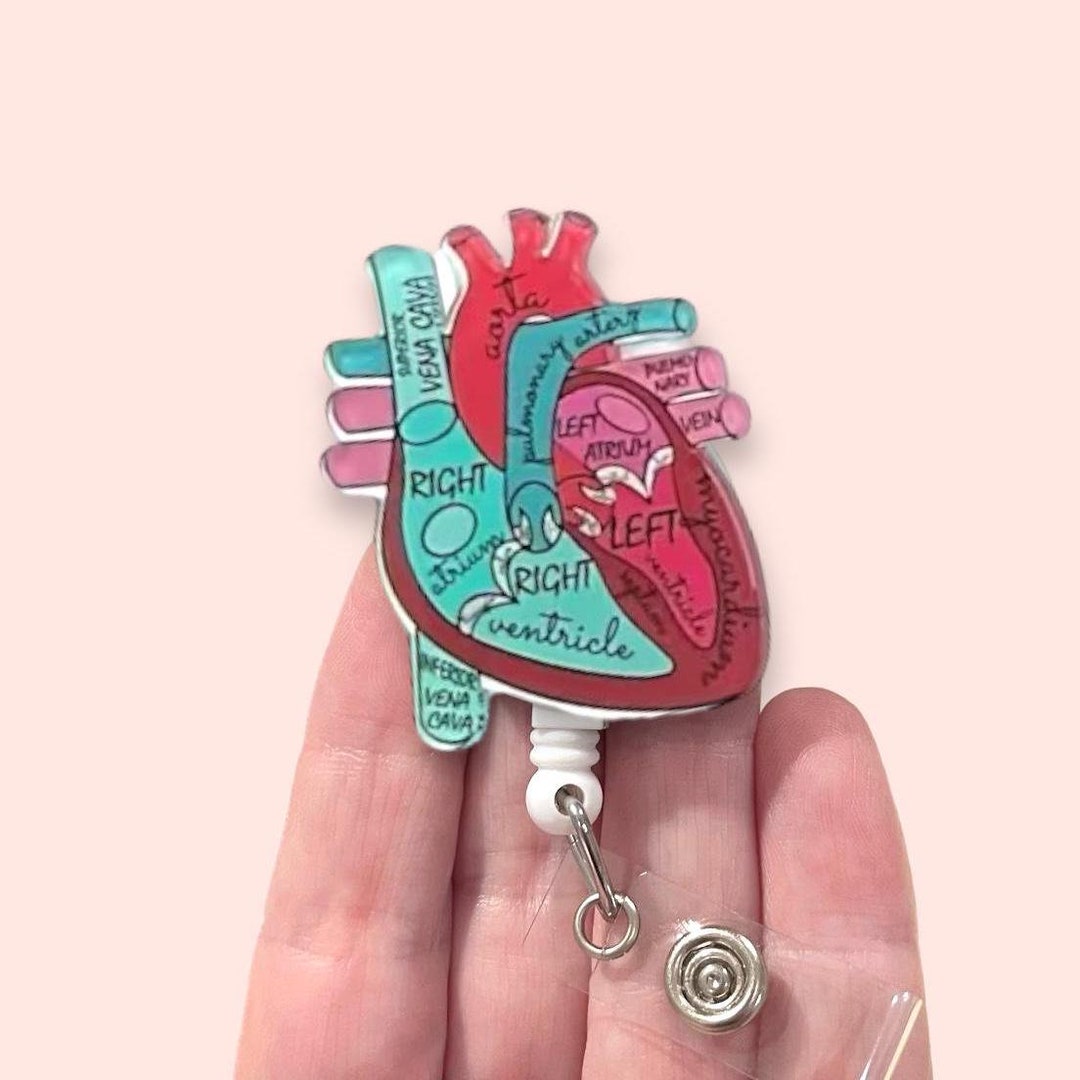 Anatomical Heart Badge Reel, Cardiac Nurse Badge Reel, Cardiology Badge ...