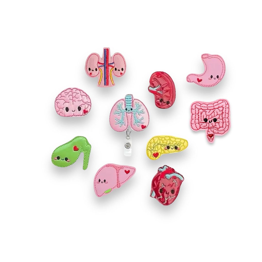 Internal Organs Badge Reel, Organs ID Holder, Badge Clip, Medical Badge ...
