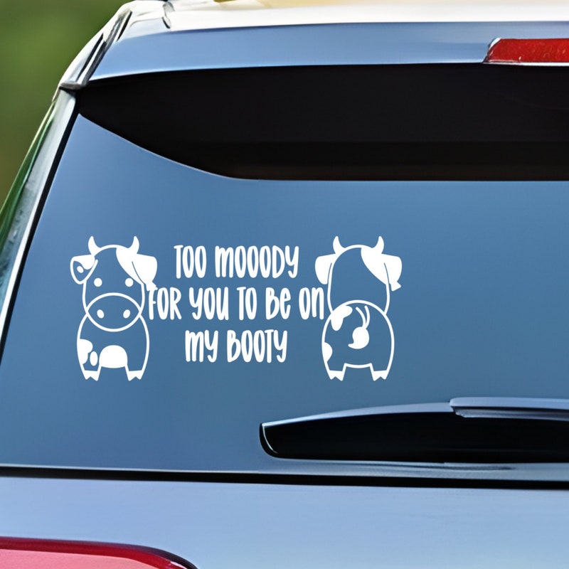 Car Booties - Etsy