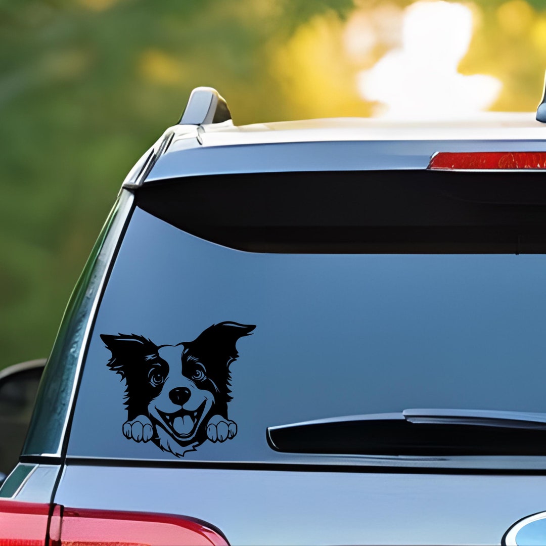 Border Collie Decal, Cutecar Decal, Car Window Decal Sticker, Car ...