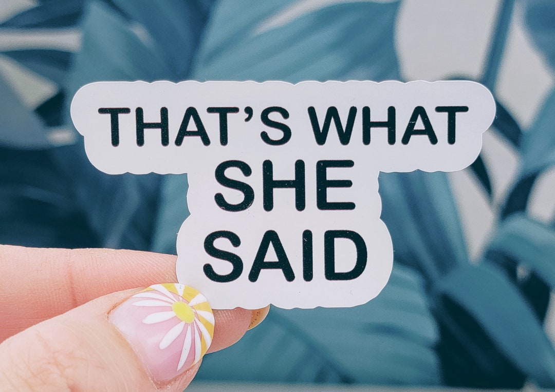 That's What She Said Sticker: Funny Glossy Vinyl Laptop Decal - Etsy