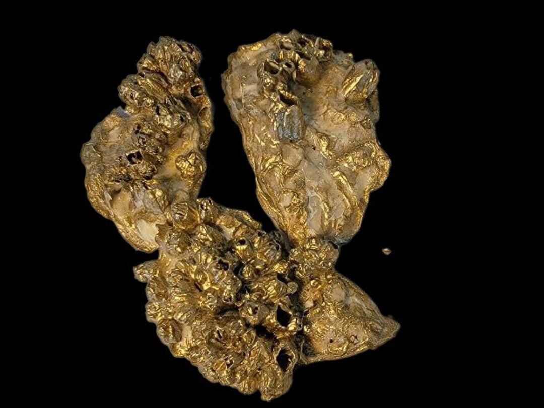 Gold Barnacle Encrusted Beach Nautical Oyster Shell - Etsy