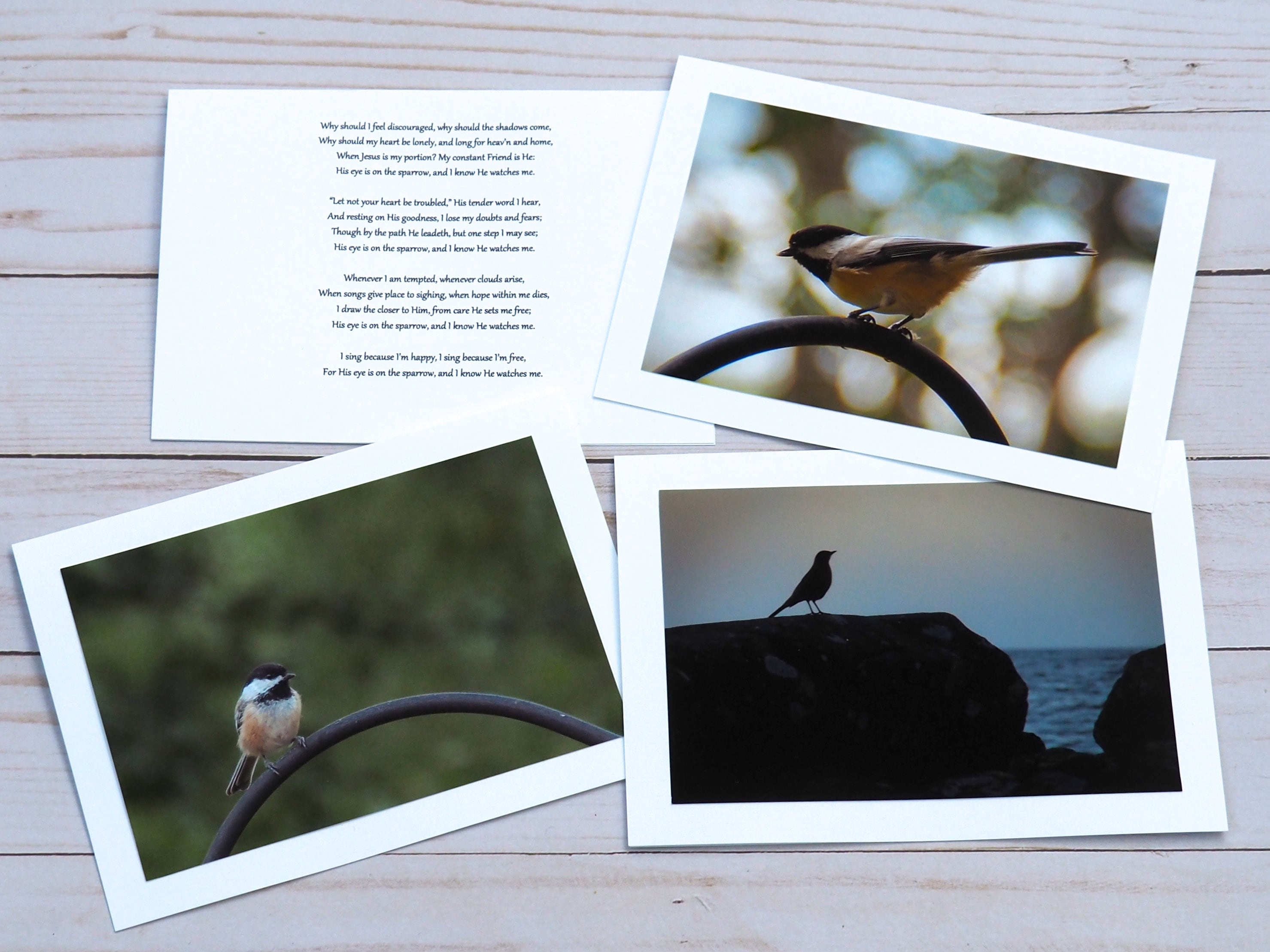 His Eye is on the Sparrow Hymn Photo Greeting Card, Christian Birthday ...