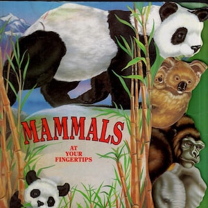 Vintage 1993, Mammals at Your Fingertips, Hardcover, Sculpted Book ...