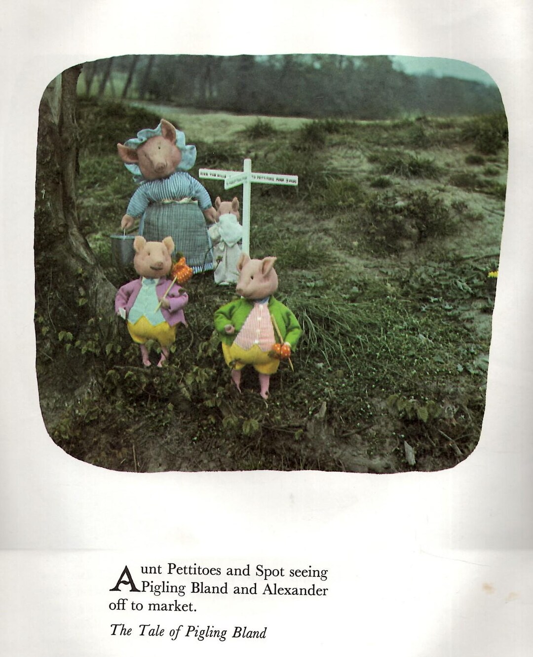 1973 Beatrice Potter Peter Rabbit, 6 Story Pigs Stuffed Characters ...