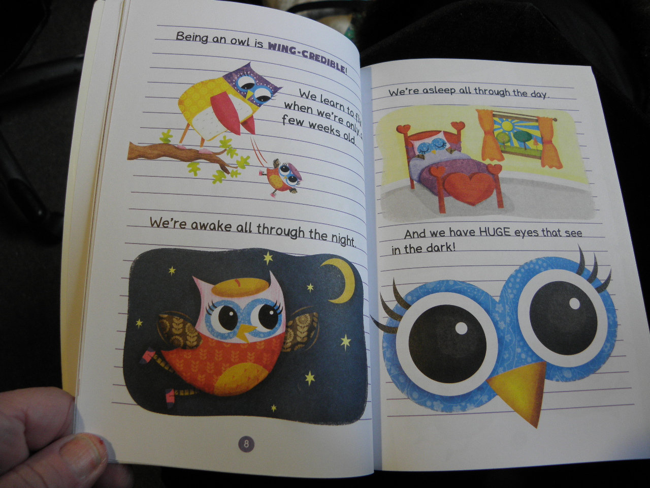 Owl Diaries Eva and the Lost Pony R Elliot Scholastic - Etsy