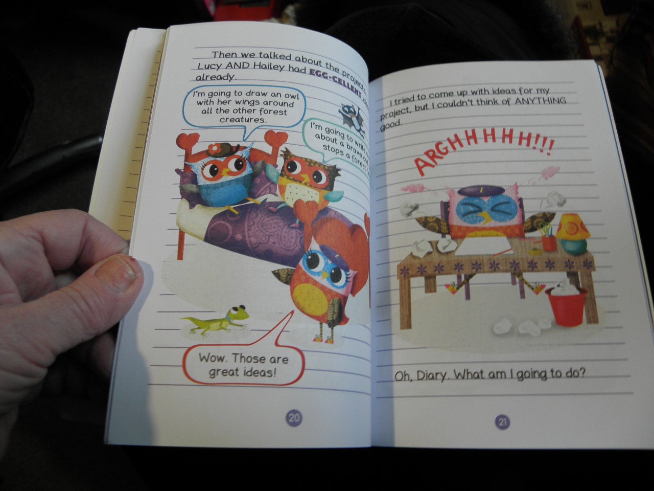 Owl Diaries Eva and the Lost Pony R Elliot Scholastic | Etsy