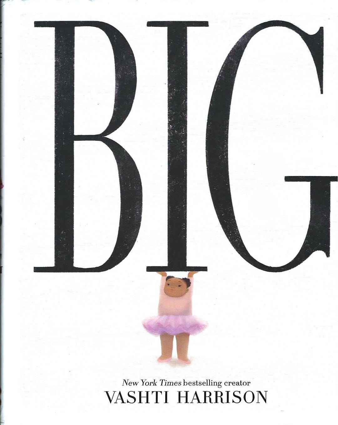 NEW Book, Big, Vashti Harrison 2023 Hardcover Dust Jacket Lovely Tale ...
