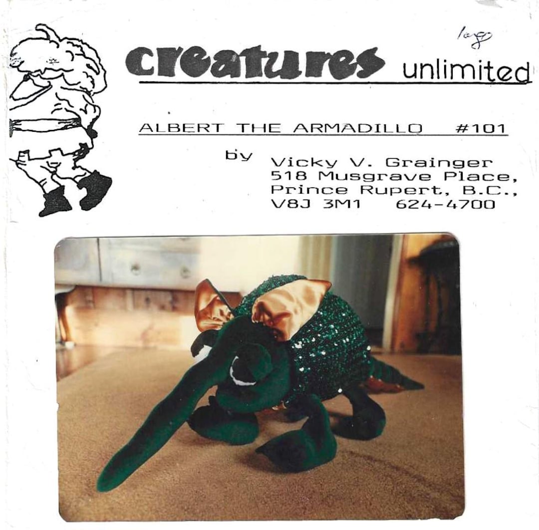 Albert the Armadillo, Sewing Pattern, 12 by 47 Inches, Can Be Smaller ...