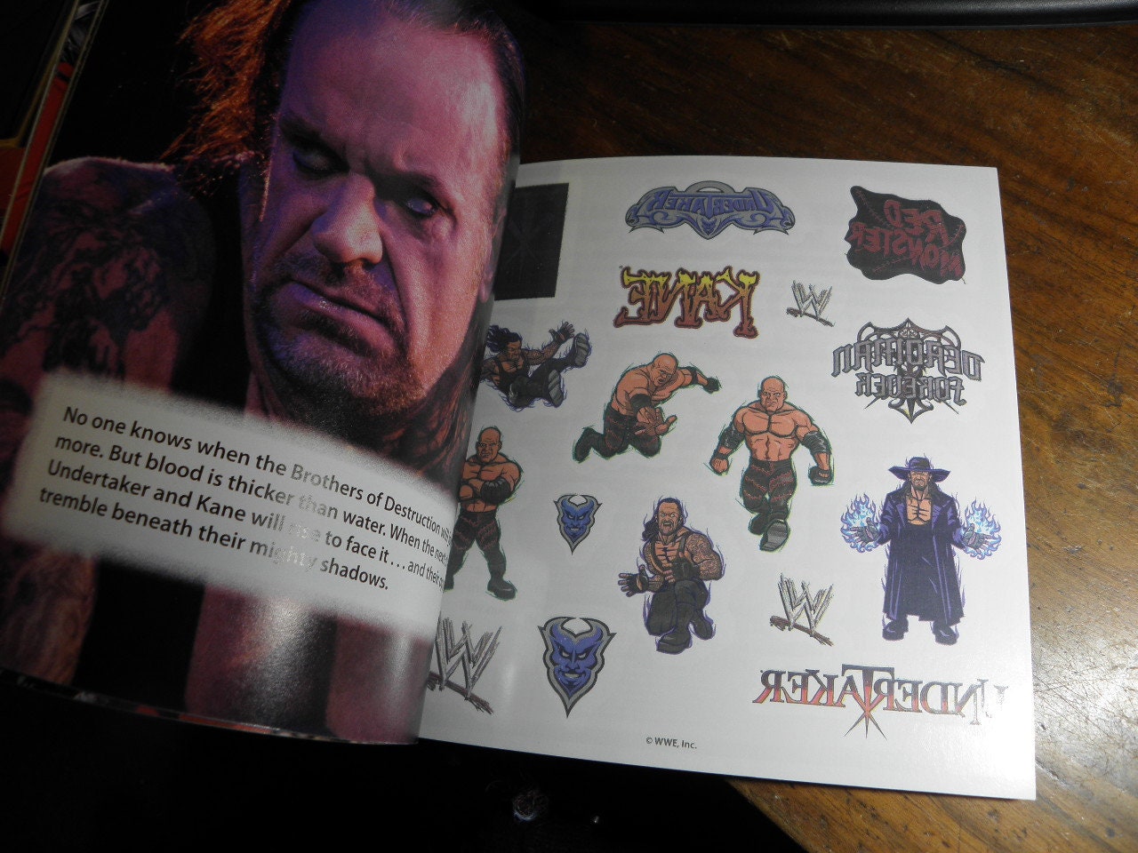 Brothers of Destruction WWE With Bonus Tattoos NEW Copy - Etsy UK