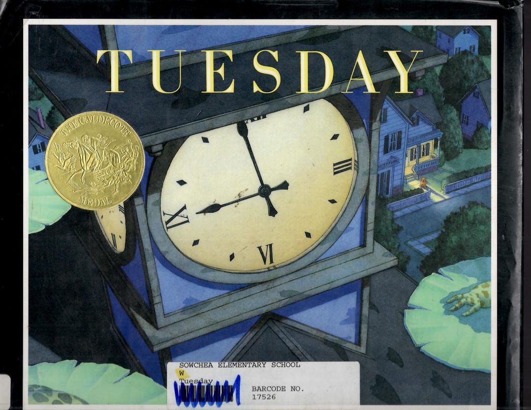 Vintage 1992, Tuesday, David Wiesner, Hardcover, Dust Jacket, Very ...