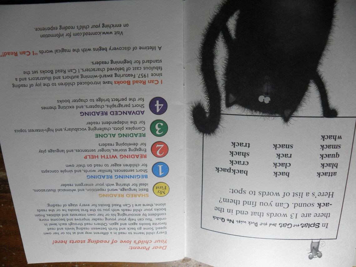 Splat the Cat and the Duck With No Quack I Can Read Level | Etsy