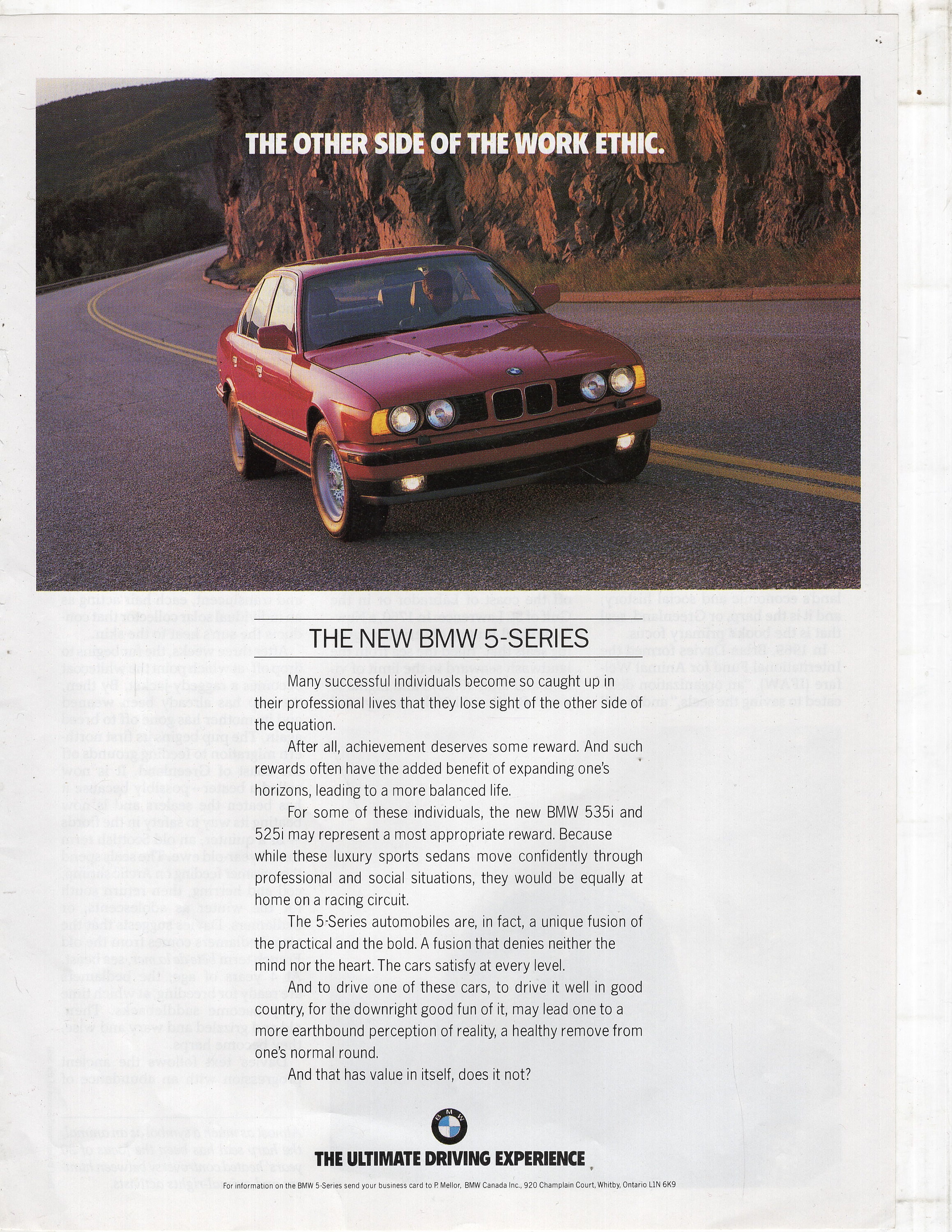 Bmw Euro E28 Cardinal