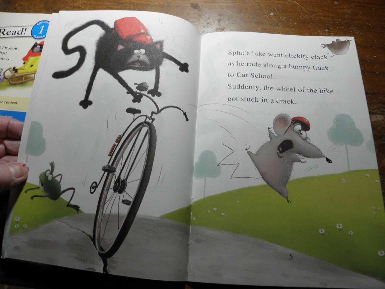 Splat the Cat and the Duck With No Quack I Can Read Level | Etsy