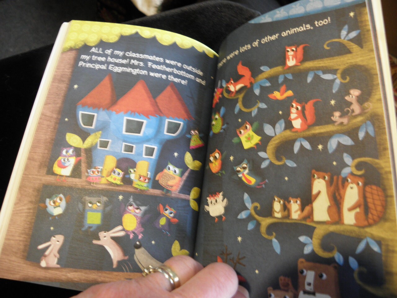 Owl Diaries Eva and the Lost Pony R Elliot Scholastic | Etsy