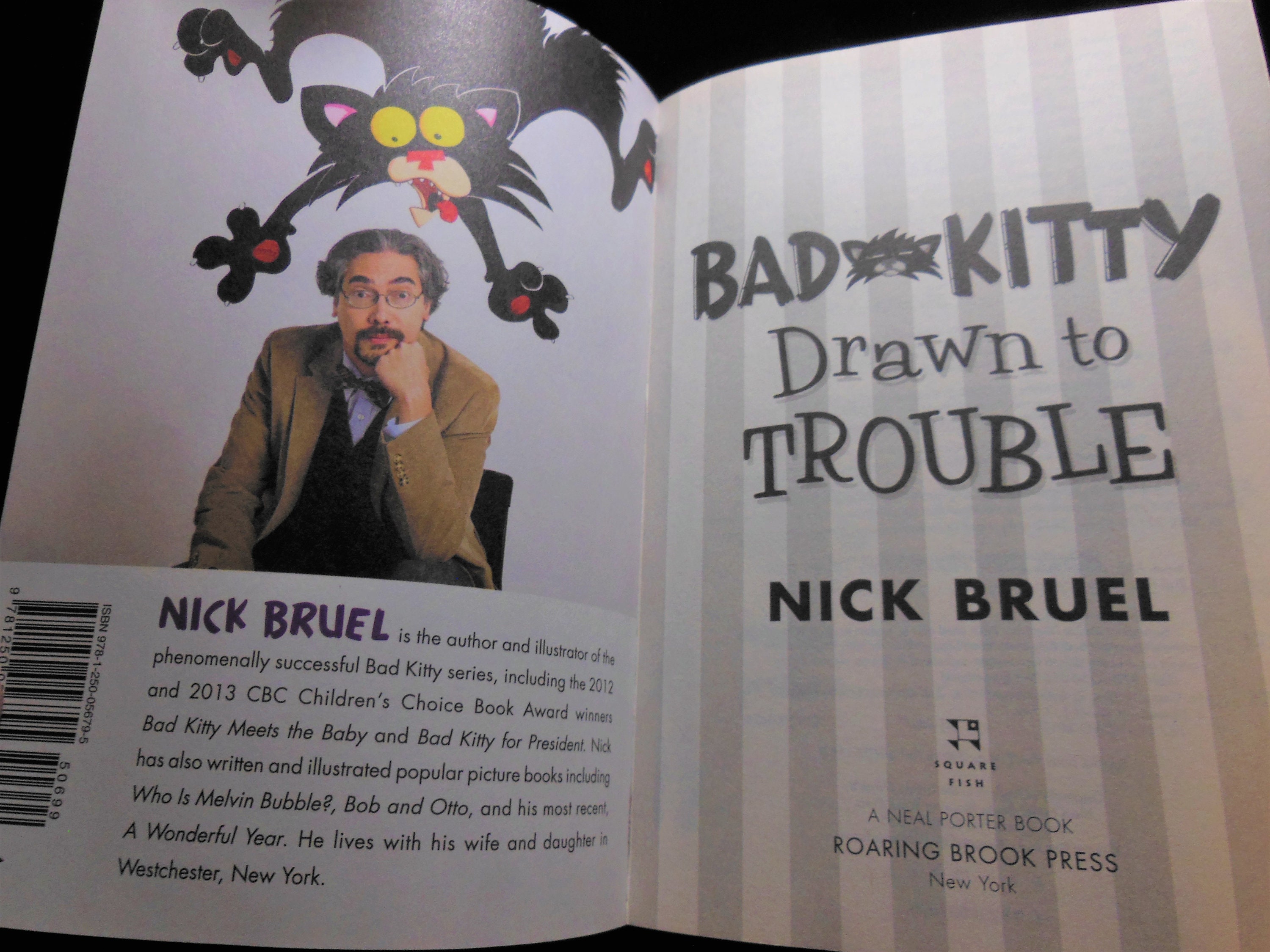 Bad Kitty Drawn To Trouble