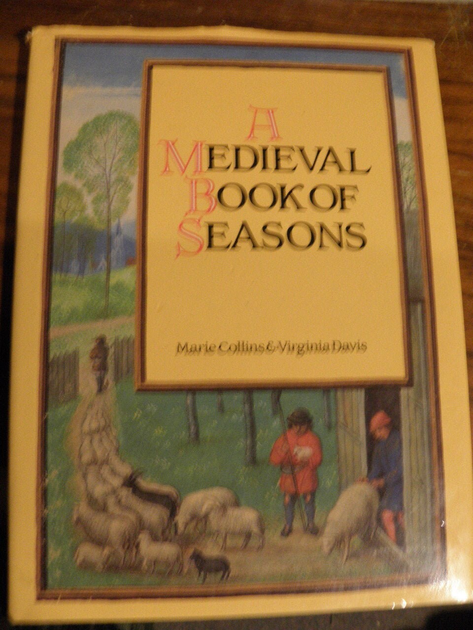 A Medieval Book of Seasons by M Collins V Davis NEW COPY | Etsy