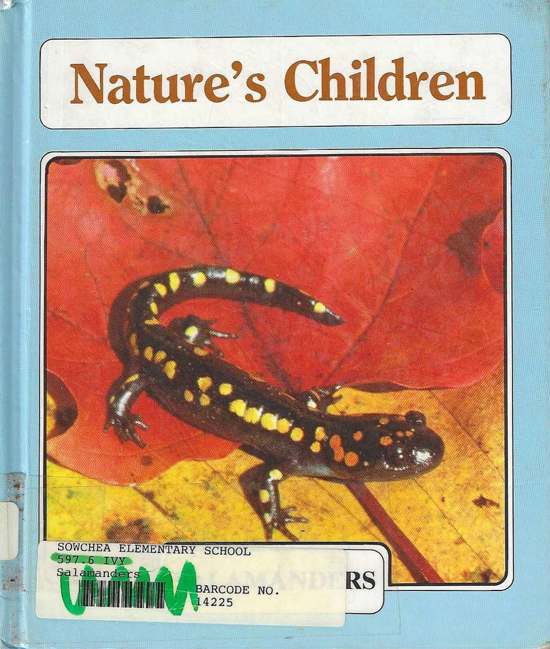 1988 Natures Children, Salamanders, Ivy, Reinforced Binding, Ex Library ...