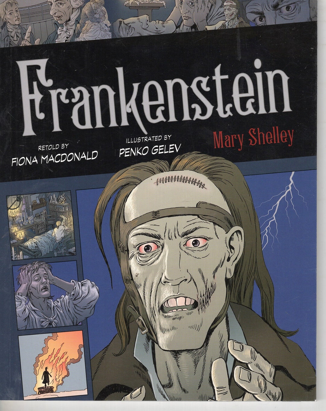 NEW Book, Frankenstein, Mary Shelley, Retold by F Macdonald, Graphic ...