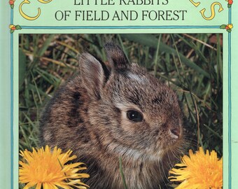 Cottontails Little Rabbits of Field and Forest by Ron Fisher National ...