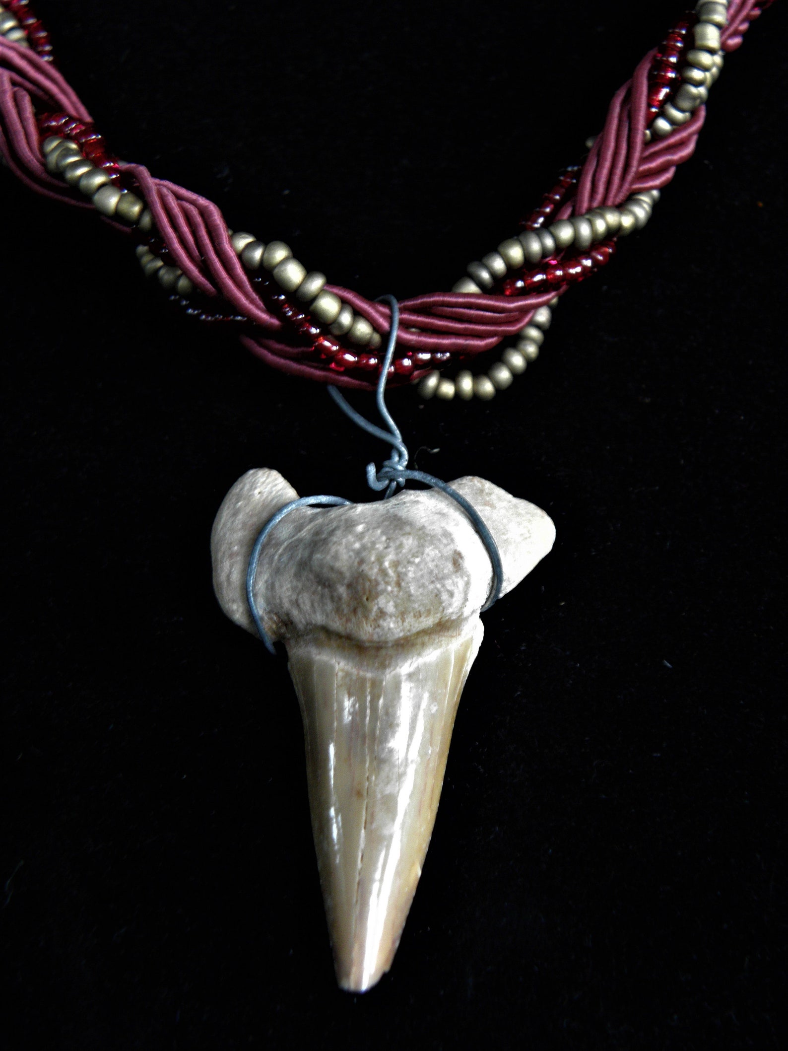 1.25 inch animal tooth pendant on necklace burgundy gold | Etsy