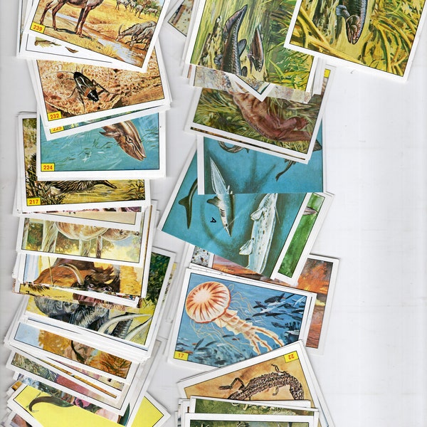 Prehistoric Animals - Etsy