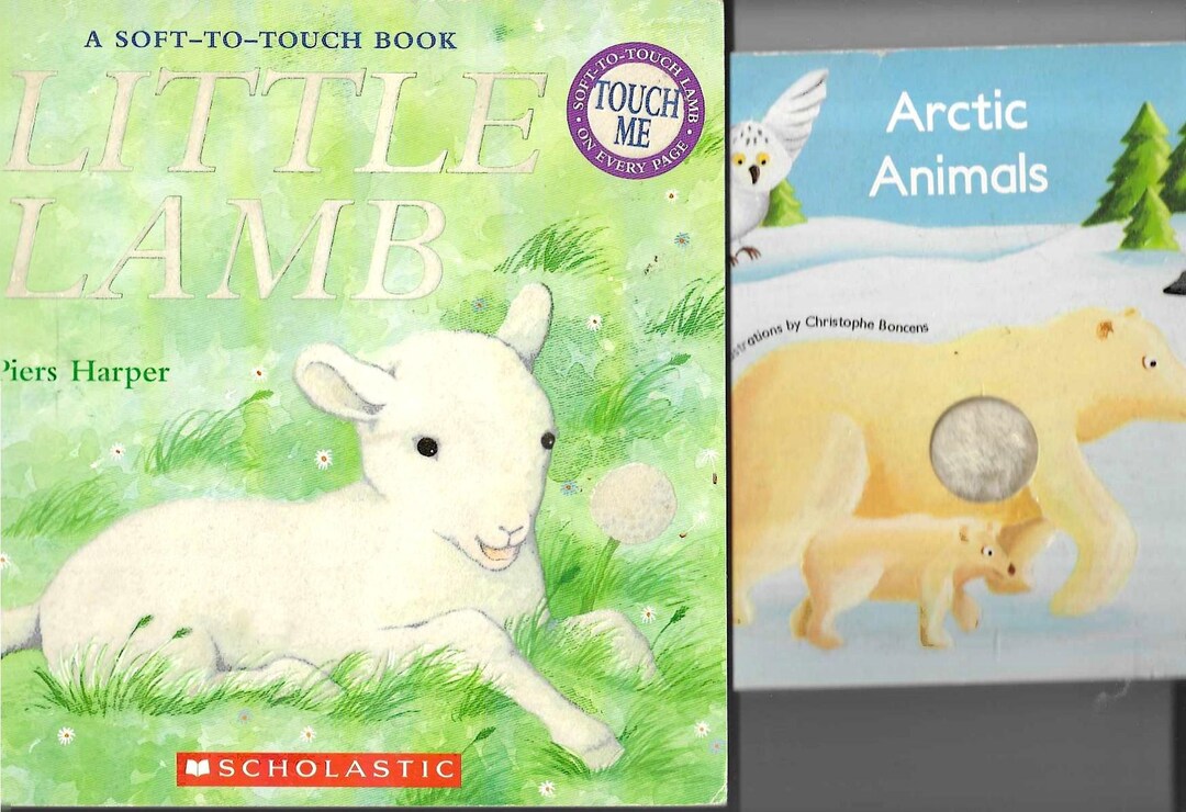 2 Sensory Books, Arctic Animals, Touch and Feel, Board Book, Little ...