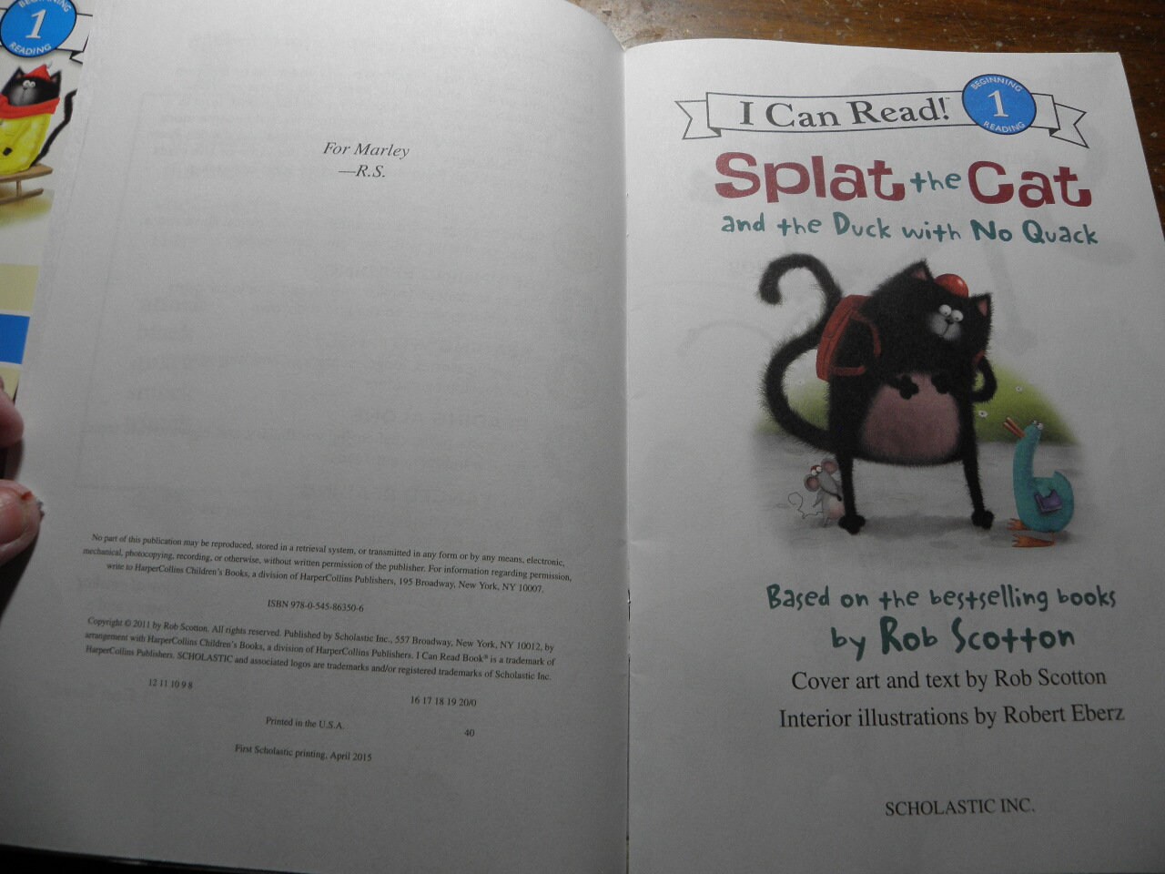 Splat the Cat and the Duck With No Quack I Can Read Level | Etsy