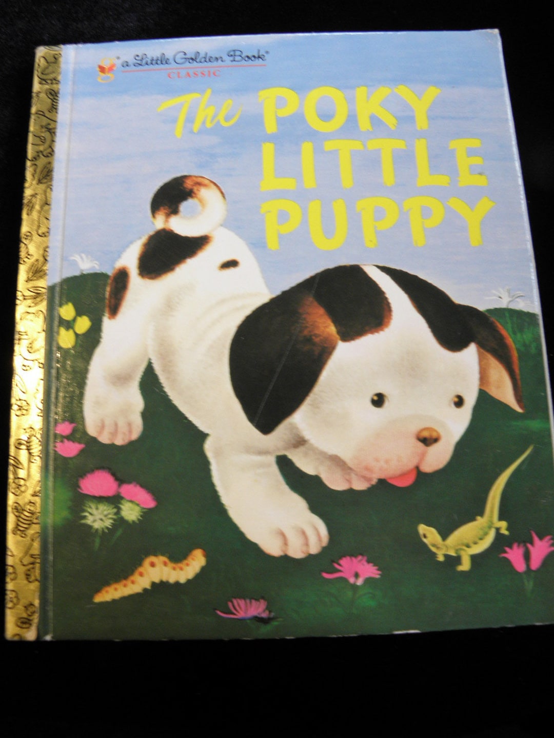 The Poky Little Puppy a Little Golden Book, J Sebring Lowrey Iiius G ...