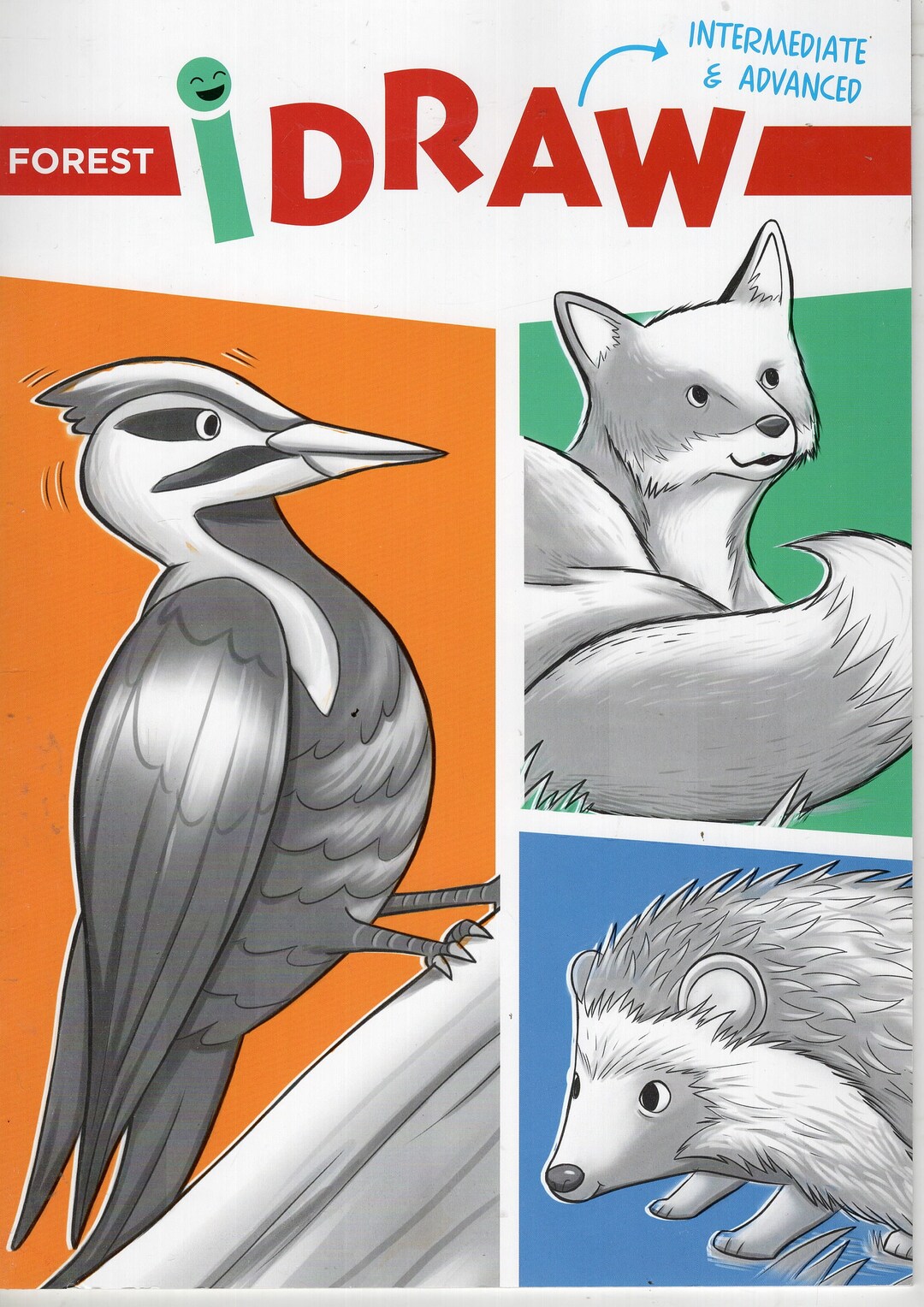 NEW Book, Forest Idraw, Intermediate to Advanced, 24 Pgs, Shows ...