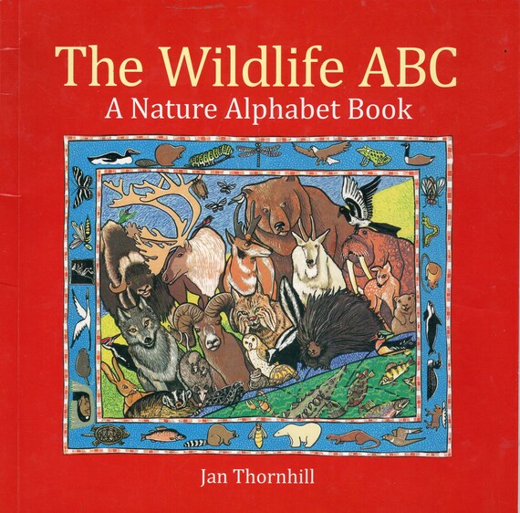 The Wildlife ABC A Nature Alphabet Book Jan Thornhill - Etsy