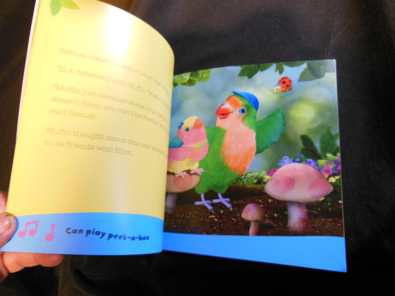Meet Elliot 3rd & Bird Cbeebies BBC Childrens Books - Etsy