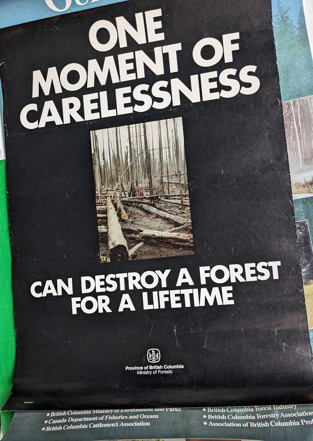 Vintage 1989, Forest Fire Prevention, Youth Groups, Cabin Art, Cottage ...