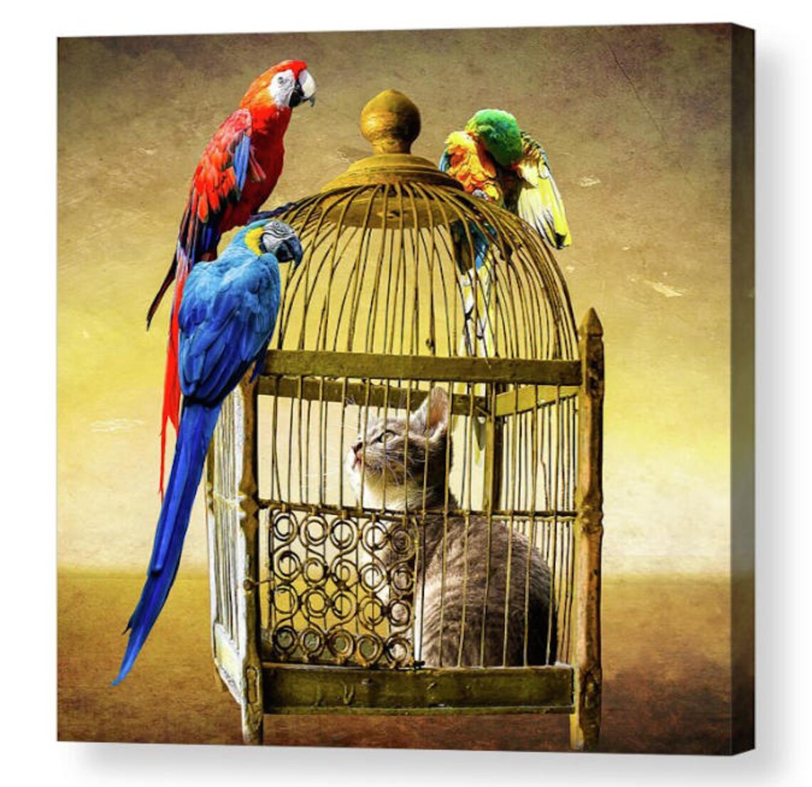 Cat in a Bird Cage Photo Canvas Art Repro 8"x8", 10"x10", 16"x16", 20 ...