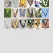Letter V, Alphabet Photography, Letter Art, Sizes 4x6 and 5x7 - Etsy