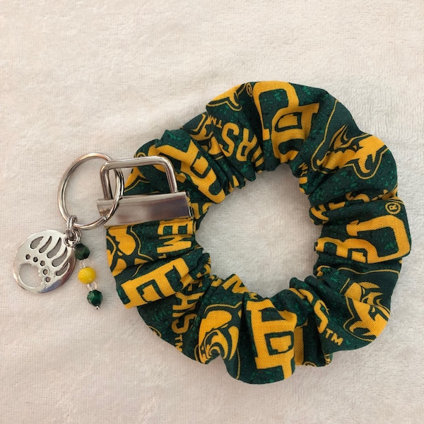 Baylor Bears - Etsy